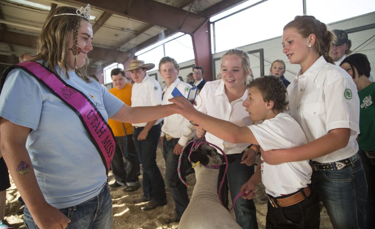 Kids with special needs cheered as they show lambs at Weber County Fair ...